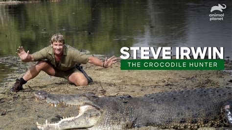 Mystery Of Steve Irwins Final Moments Has Been Solved