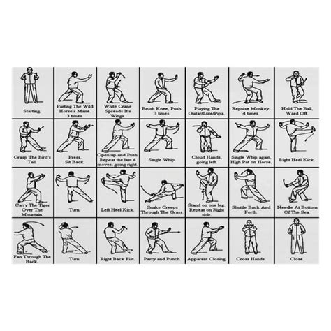 Tai Chi 24 Step Practice Poster Martial Arts Meditation Chart For Beginners Mindful Movement