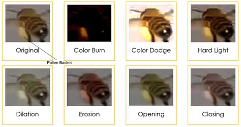 application of image filters and mathematical morphology operators in a