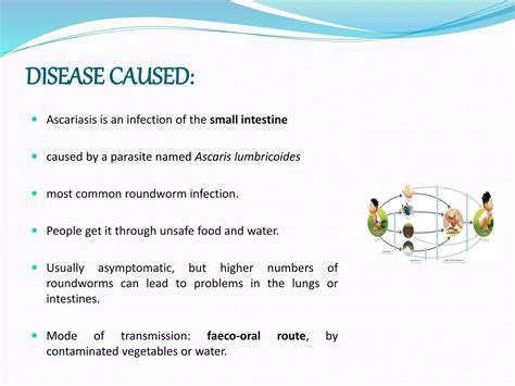 Ascariasis Pptx Digestive Disorders Diseases And Conditions