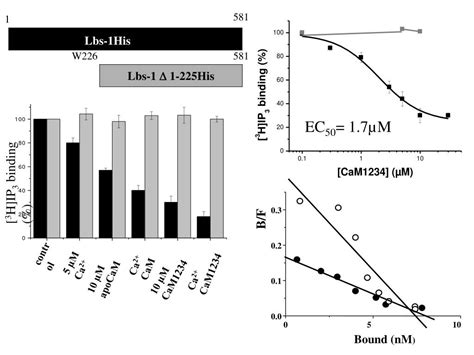 Ppt The Role Of Protein Interactions In Ip 3 R Function Powerpoint