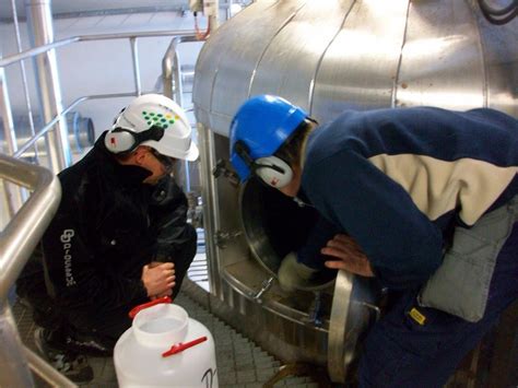 More Environmentally Friendly Fish Feed