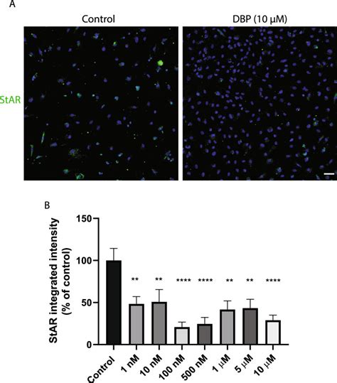 Mechanistic Screening Of Reproductive Toxicity In A Novel D Testicular Co Culture Model Shows