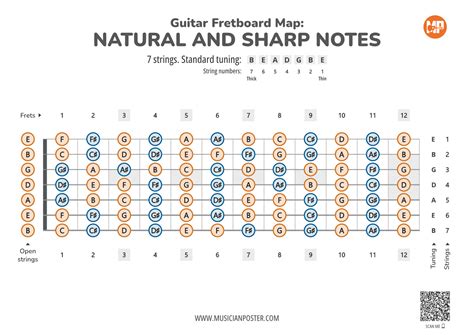 Guitar String Note