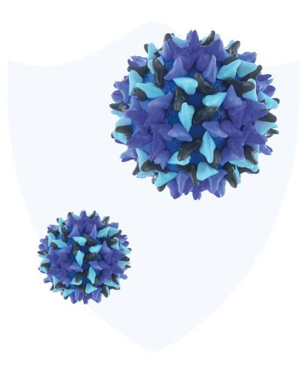 Hepatitis B Testing Safer STD Testing