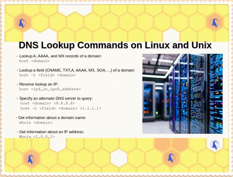 Linux Unix Dns Lookup Command Nixcraft