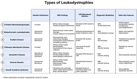Leukodystrophy Imaging Insights For Diagnostic Dilemmas