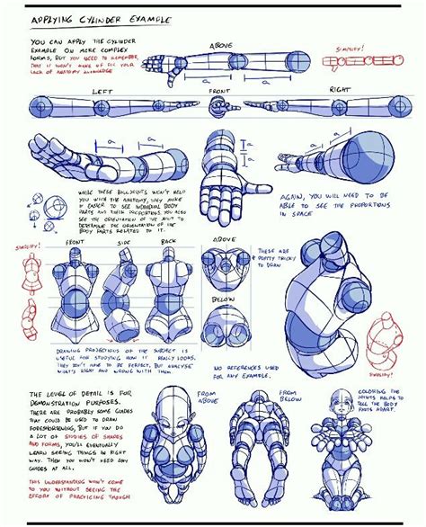 Pin By Talos On Drawing References Human Anatomy Drawing Character