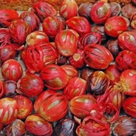 Herbs And Spices Singhania Retail