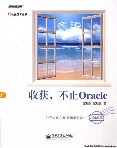 数据库书籍pdf推荐下载 码农书籍网