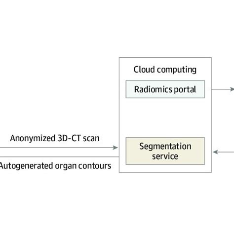 Integration Of The Proposed Segmentation Models Into Radiotherapy Download Scientific Diagram