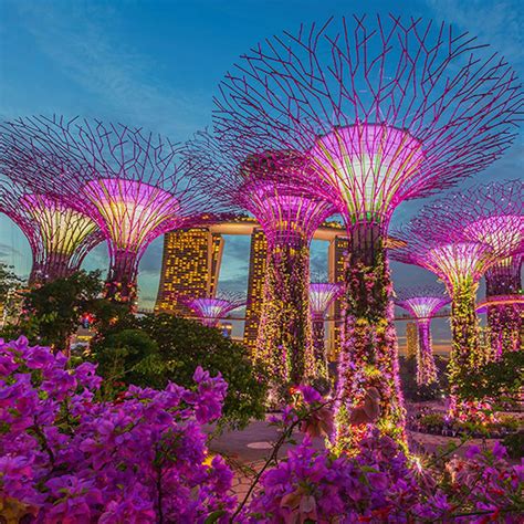 Singapore Stem Sample Itinerary Educating Adventures