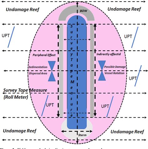 Figure 2 From Coral Reef Degradation Due To ‘ship Grounding In