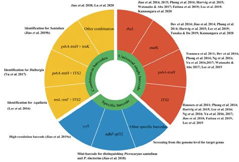 Workflow Of Dna Extraction From Wood Tissues 615 616 Download