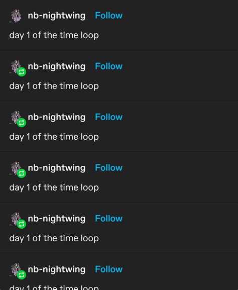 Day 1 Of The Time Loop Rcuratedtumblr