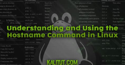 Hostname Command In Linux Kalitut