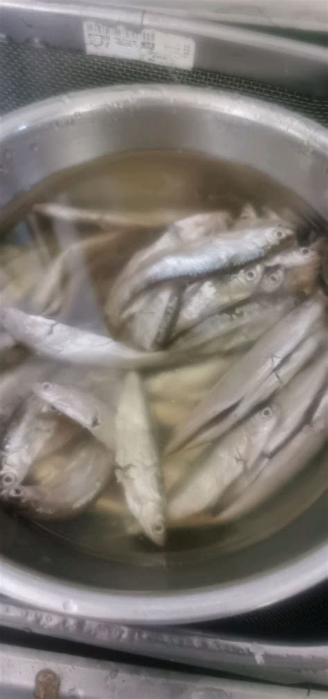 炸鱼怎么做 炸鱼的做法 豆果美食