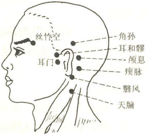 角孙 SJ 20 针灸 医学