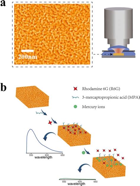 Selectable Ultrasensitive Detection Of Hg2 With Rhodamine 6g Modified Nanoporous Gold Optical