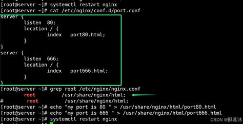 使用nginx搭建web网站nginx搭建web服务器 Csdn博客