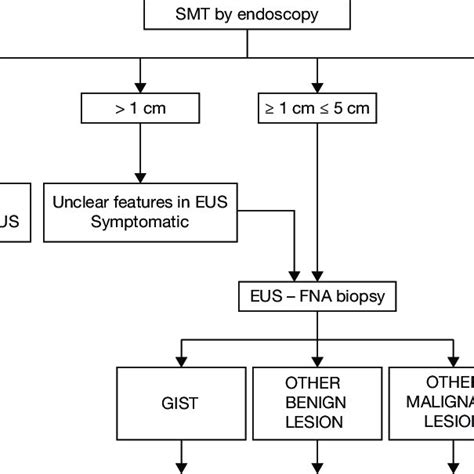 Proposed Strategies For Management Of Submucosal Tumor Smt Download Scientific Diagram