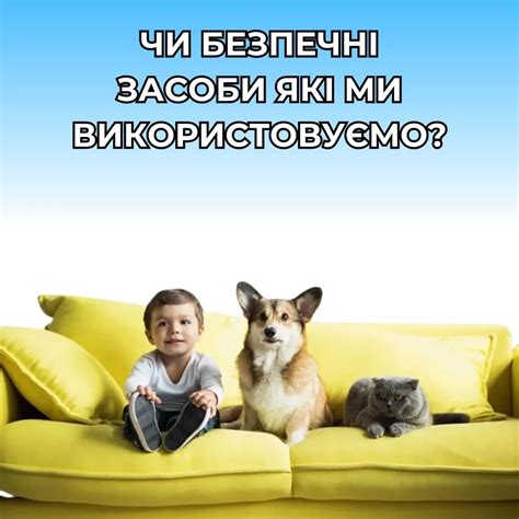 ЧИСТО ЛЮКС КАЛУШ ІВ ФРАНКІВСЬК Хімчистка мяких меблів 🌿 Весна час оновлення А як там