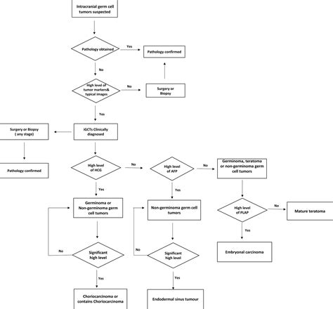 Ruby Legura Lako Beta Hcg Tumor Marker 39 Pješački Ambicija šal