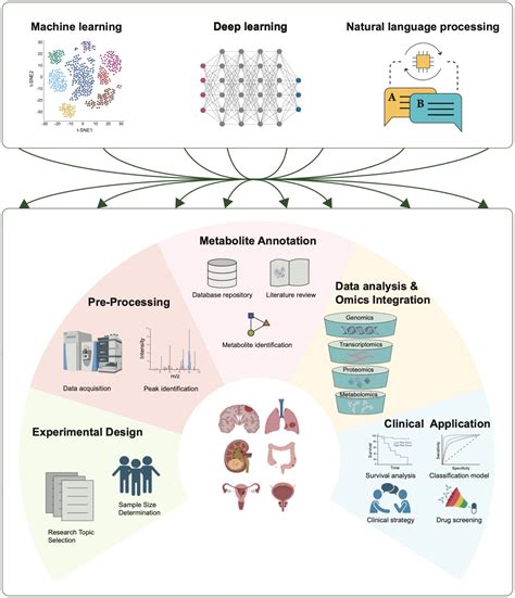 Frontiers From Multi Omics To Predictive Biomarker Ai In Tumor
