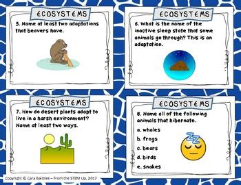 Ecosystem Task Cards By Cara Baldree From The STEM Up TpT