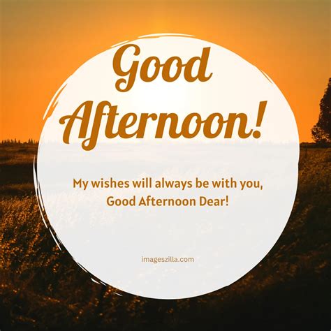 25 Best Good Afternoon Images Wishes And Quotes Imageszilla