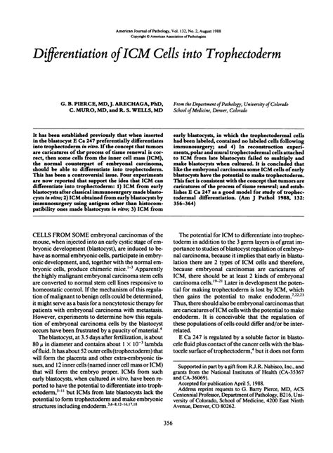 Pdf Differentiation Of Icm Cells Into Trophectoderm