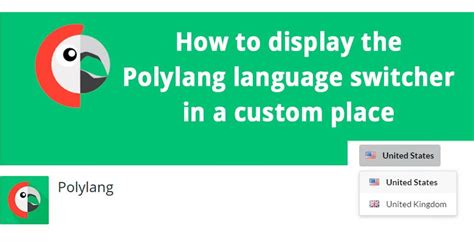 How To Display Polylang Language Switcher Near Hamburger Menu On Mobile