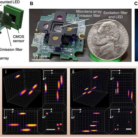 Pdf Single Shot 3d Wide Field Fluorescence Imaging With A