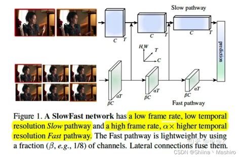 Slowfast Networks For Video Recognition Csdn博客