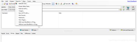 快速获取一个网站的所有资源 图片 html css js 扒站 仿站必备工具 获取网站目录所有图片 csdn博客