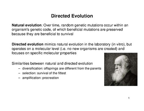 Directed Evolution Directed Evolution Natural Evolution Over Time