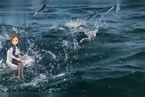 鱼都能飞了！最远能飞400米，没有翅膀靠啥飞？ 翅膀