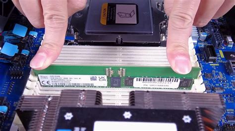 Lenovo Thinksystem Sr665 V3 Installing A Memory Module Youtube