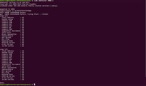 Check The Installed Used And Available RAM On Your Ubuntu System