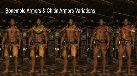 Sos Dragonborn Male Armors Conversion For Sos Downloads Skyrim Adult And Sex Mods Loverslab