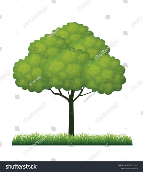 Green Tree Grass Vector Outline Illustration Stock Vector Royalty Free
