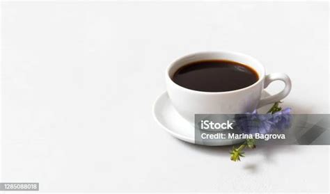 치커리 커피 음료와 흰색 배경에 파란색 치커리 꽃 카페인이 있는 커피 공간을 복사합니다 치커리에 대한 스톡 사진 및 기타 이미지 Istock