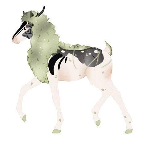 N9472 Padro Foal Design By Binxy03 On Deviantart