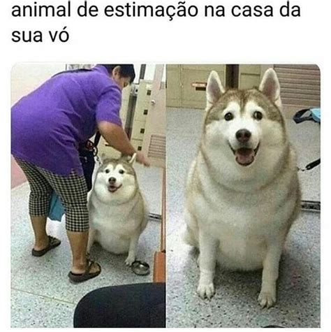 Eu E Minha Mãe Se Comunicando Mãe Vem Comer Eu Já Vou Mãe Venha