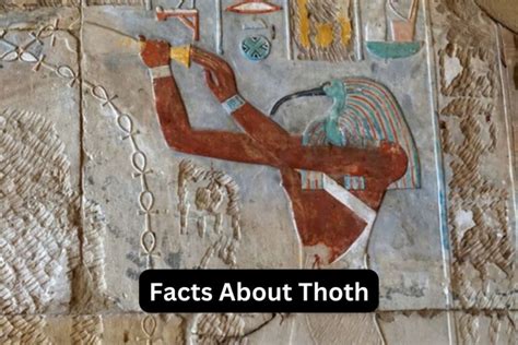 10 Facts About Thoth The Egyptian God Have Fun With History