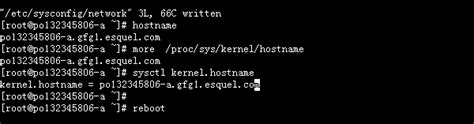 修改主机名 etc hostname和 etc hosts区别 hosts和hostname的区别 csdn博客