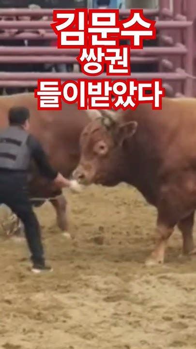 김문수 쌍권 들이받았다 Youtube