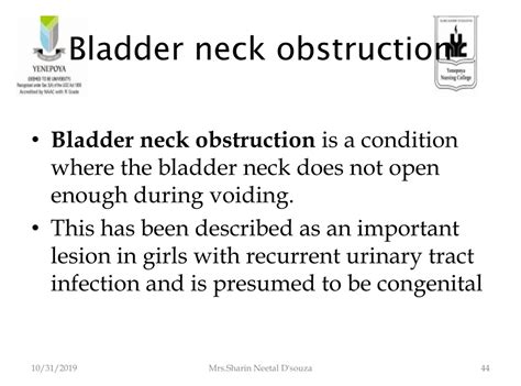 Ppt Congenital Renal Disorders In Newborns Powerpoint Presentation