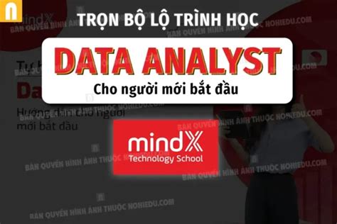 Trọn Bộ Lộ Trình Học Data Analyst Cho Người Mới Bắt Đầu Mindx Nohi