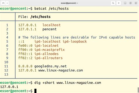dns basics hostname resolution